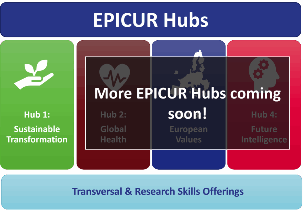 Discover the EPICUR Hubs - EPICUR Alliance